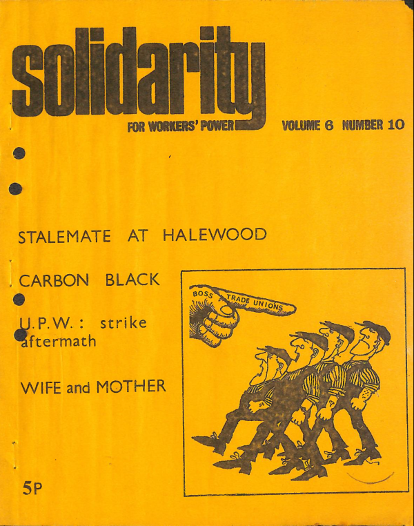 Solidarity for workers' power #6.10 | libcom.org